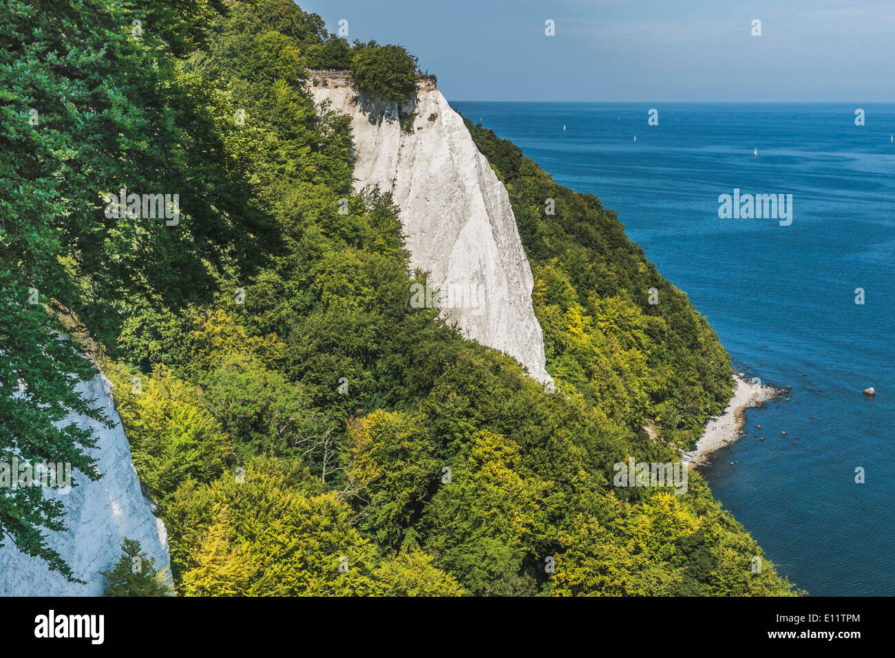 118 Meter hohe Kreidefelsen Koenigsstuhl (Vorsitzender des Königs ...