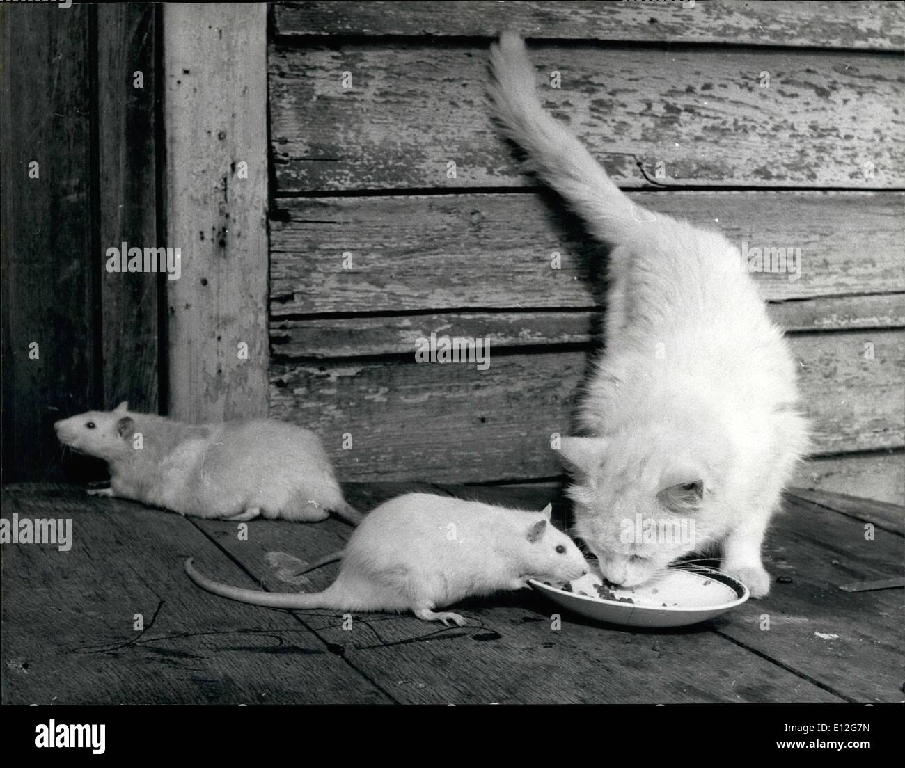 Its picture that just cannot be done -Fotos und -Bildmaterial in hoher ...