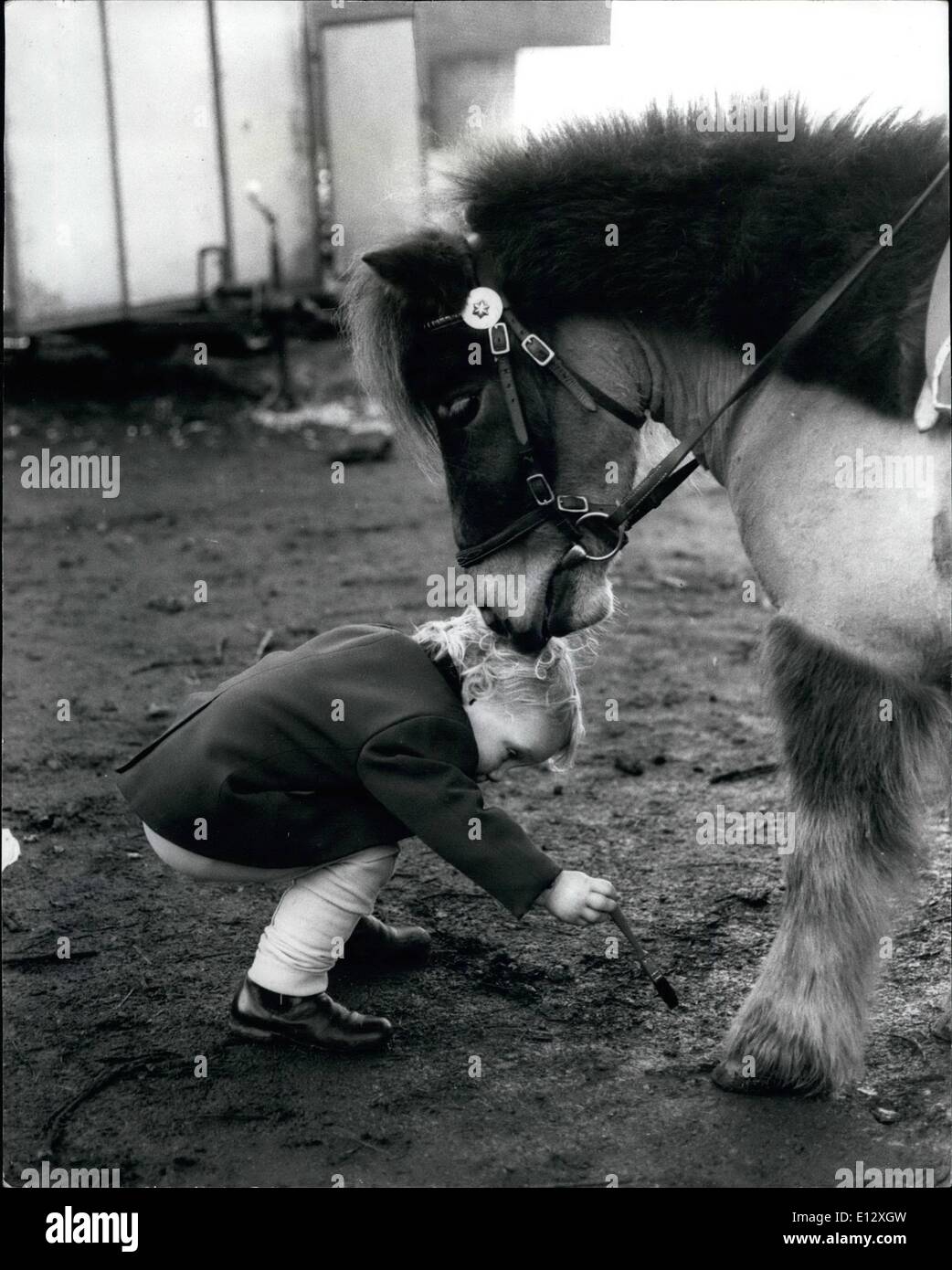 Donna reitet zwei hoch -Fotos und -Bildmaterial in hoher Auflösung – Alamy