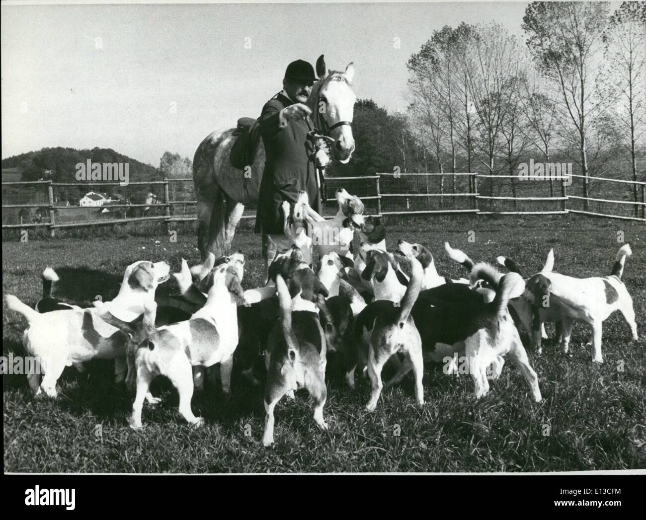 2. März 2012 - A München Zahnarzt bietet Pack of Hounds für Fox-jagt ...