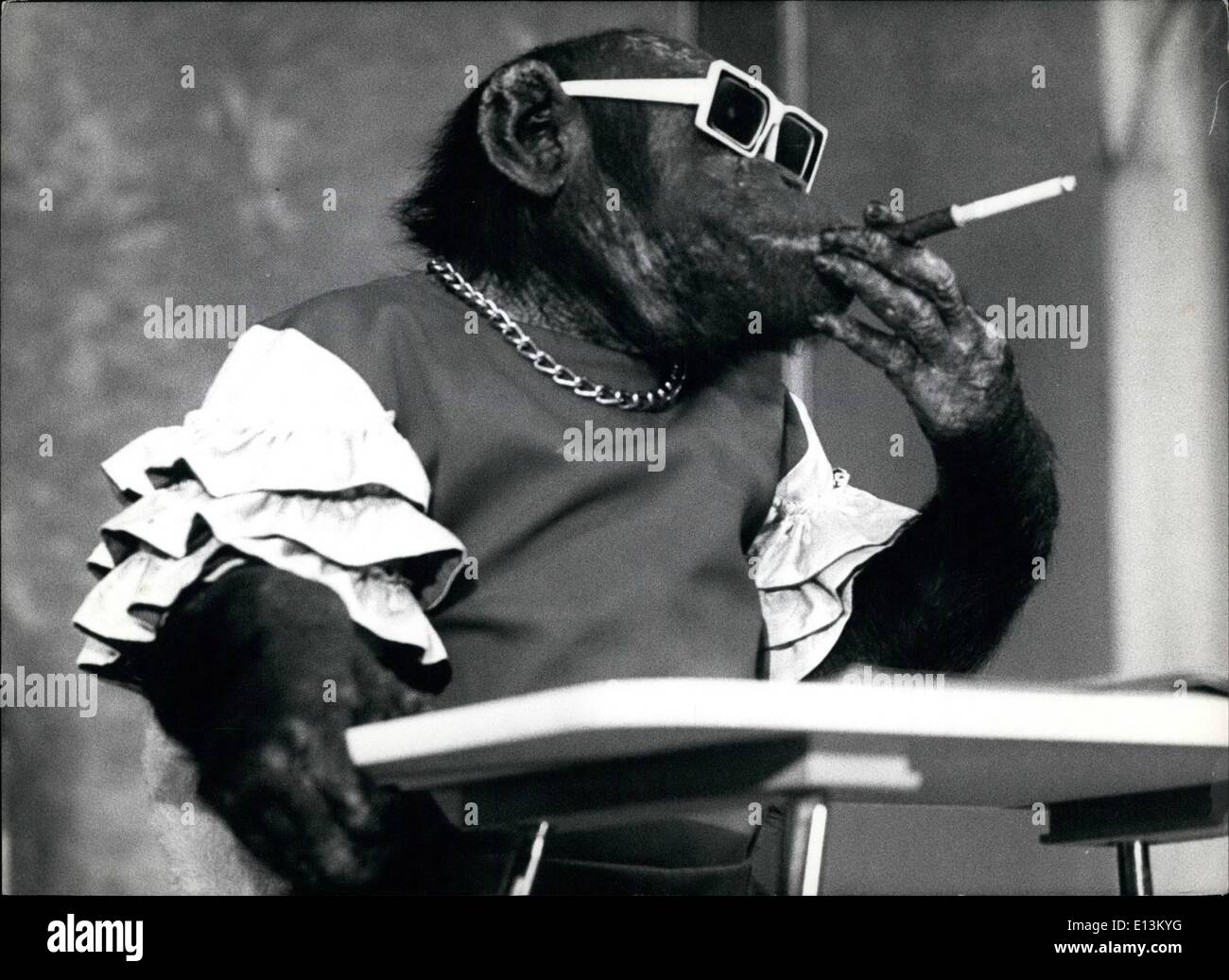 Rauchender Affe Stockfotos und -bilder Kaufen - Alamy