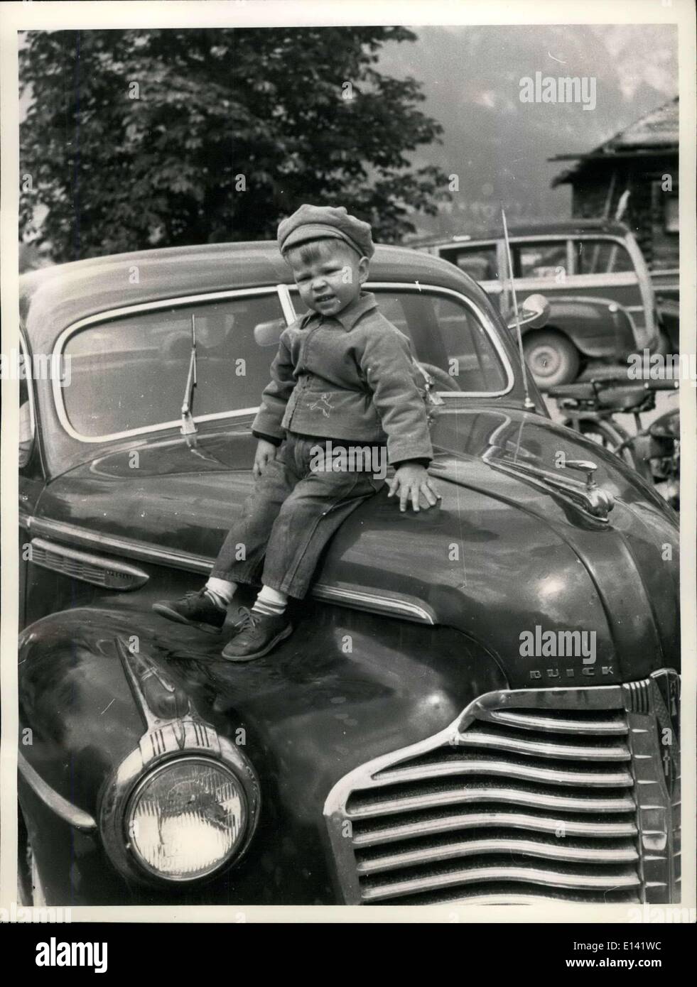 German taube -Fotos und -Bildmaterial in hoher Auflösung – Alamy