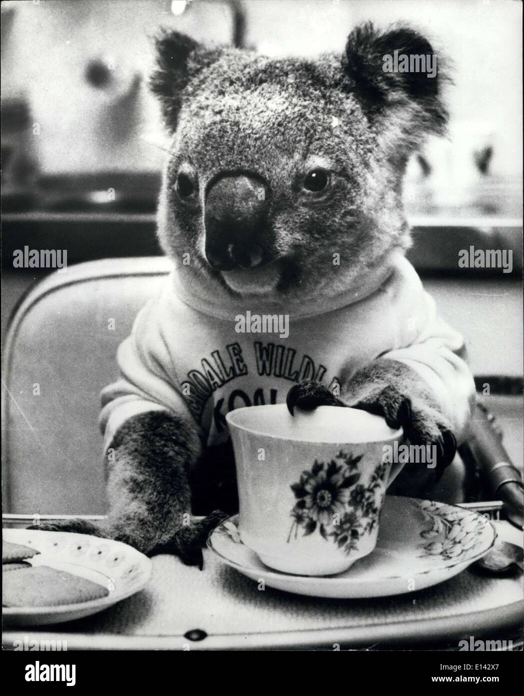 31. März 2012 - Koala Syd schließt sich die Jet-set: Syd die Koala eine ...