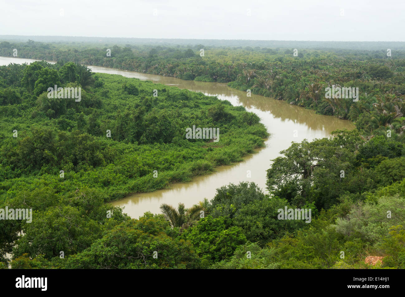 Blick über den Gambia-Fluss im Fluss Gambia National Park, Gambia ...