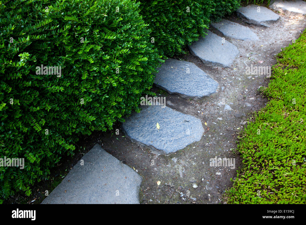 Gehweg im rasen -Fotos und -Bildmaterial in hoher Auflösung – Alamy