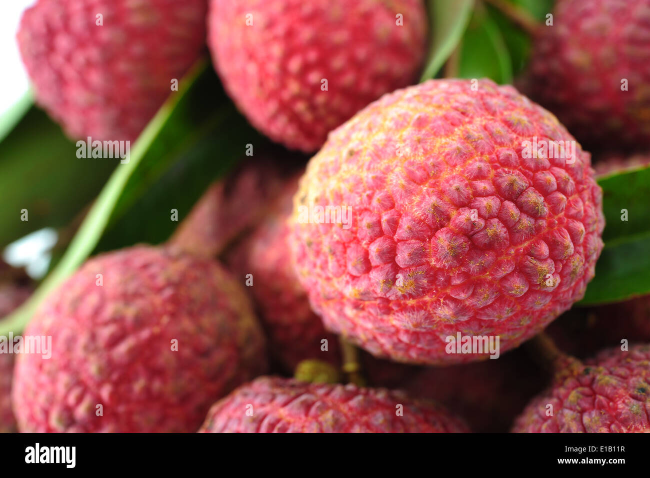 Lychee fruits -Fotos und -Bildmaterial in hoher Auflösung – Alamy
