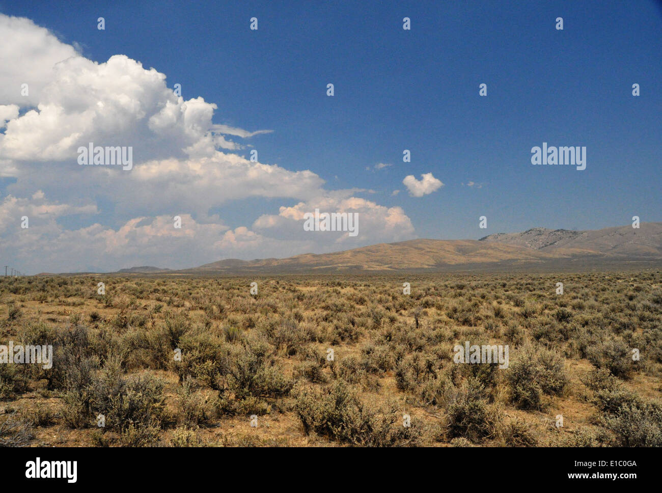 Der Nez Perce National Historic Trail, der in der Nähe der Bannack ...