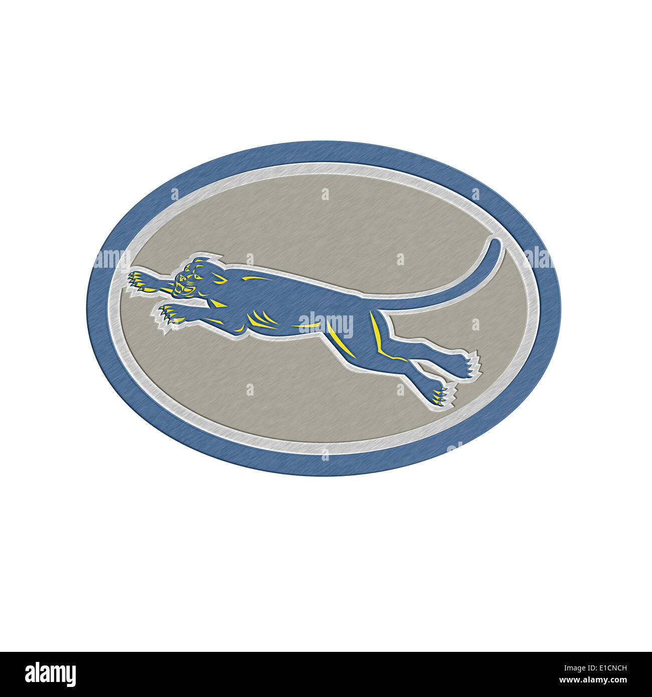 Springender panther -Fotos und -Bildmaterial in hoher Auflösung – Alamy