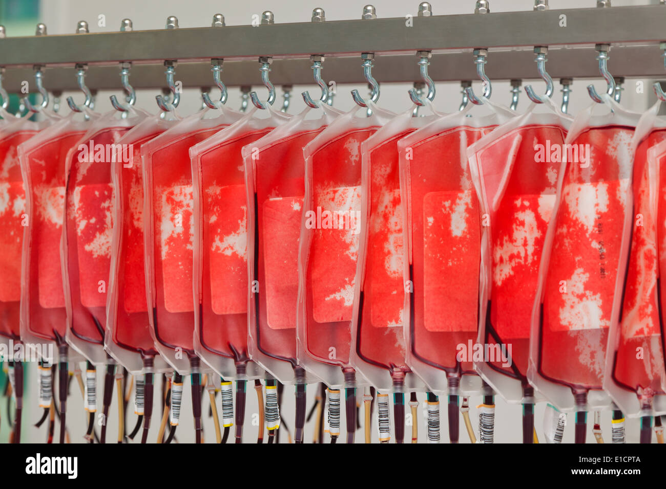 Blut von Blutspendern in der Blut-Labor. Gesundheit und Wohlbefinden ...