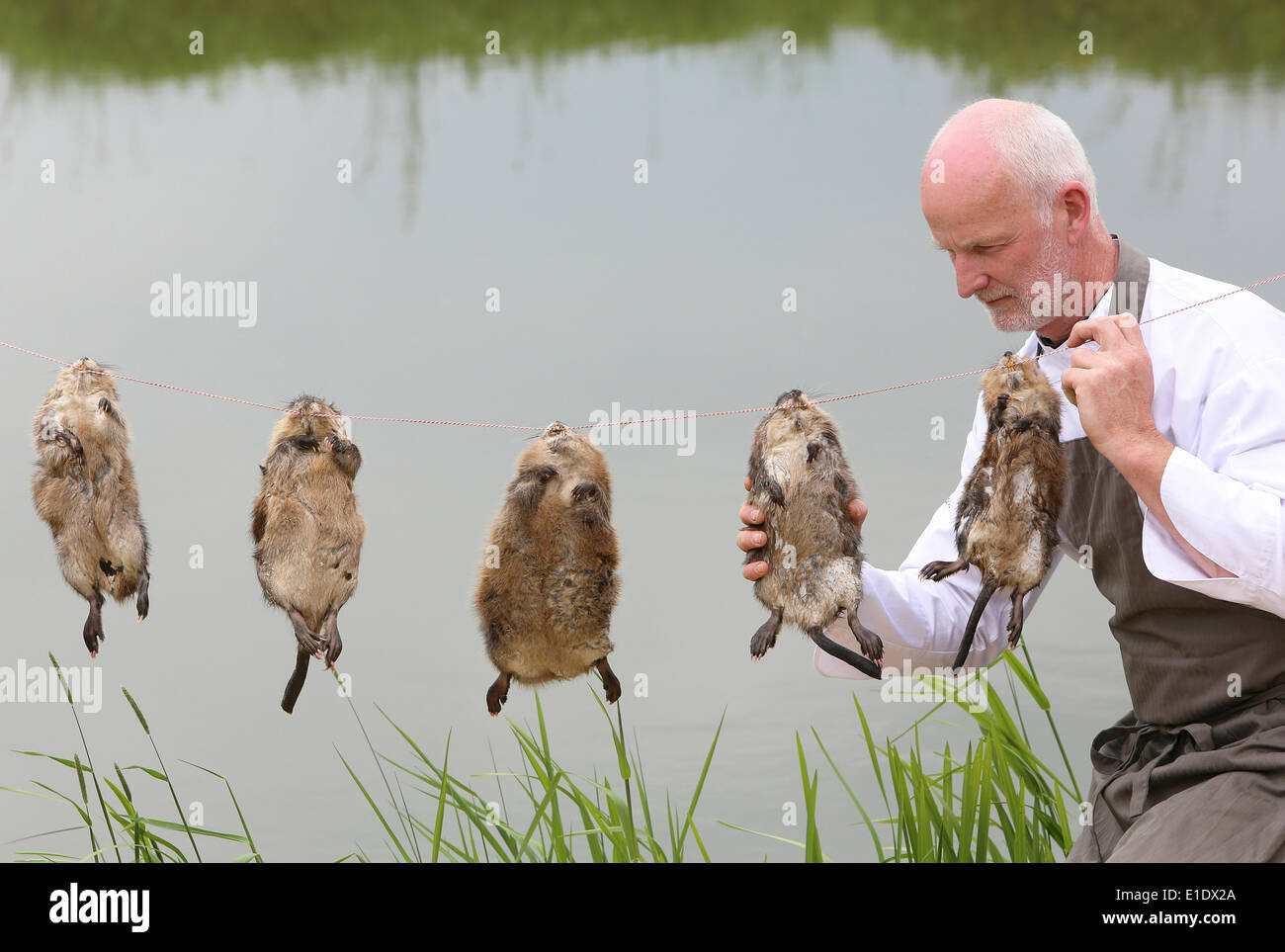 Arjan smith -Fotos und -Bildmaterial in hoher Auflösung – Alamy
