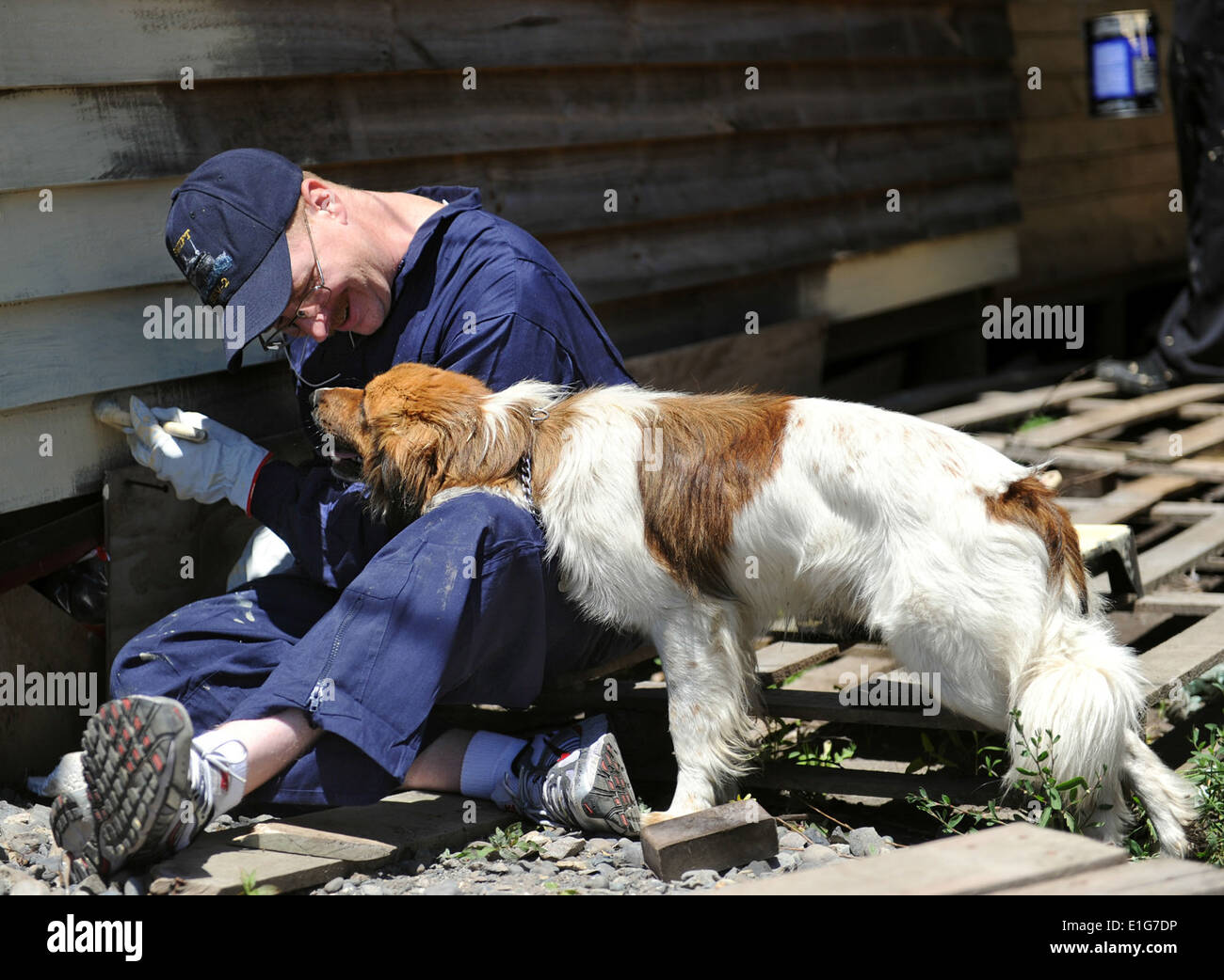 Spielt mit einem hund beim malen eines hauses nov 24 -Fotos und ...