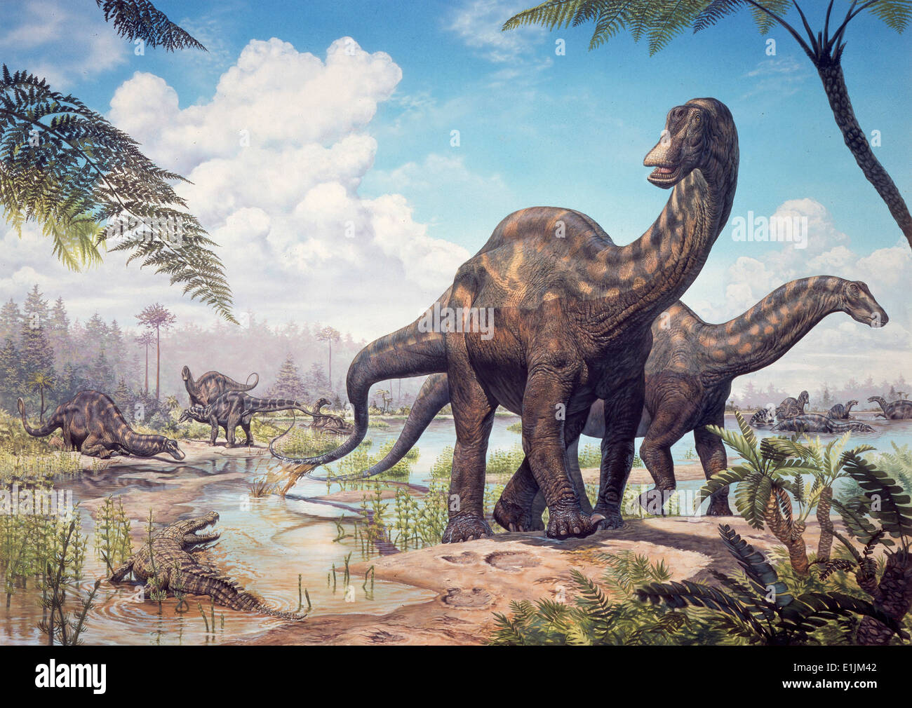 Tiere Und Pflanzen Der Kreidezeit