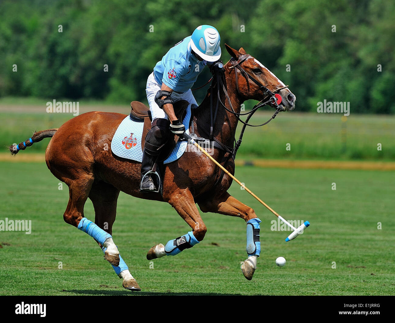 Sport, Reiten, Polo, Turnier, Pferd Stockfotografie - Alamy