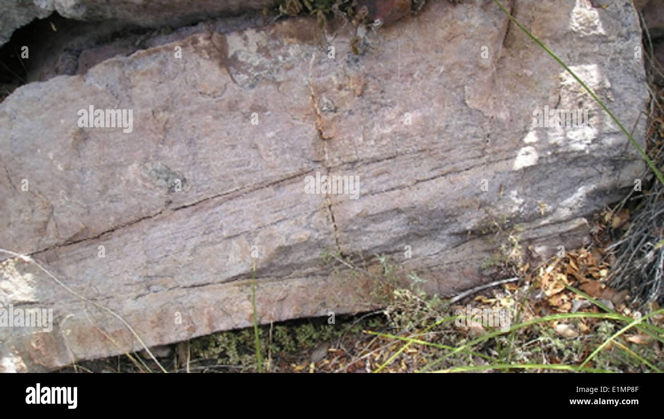 Ein geologisches Foto von Kreuzungen in Sandstein entlang des Miller Peak Trail, das die ...