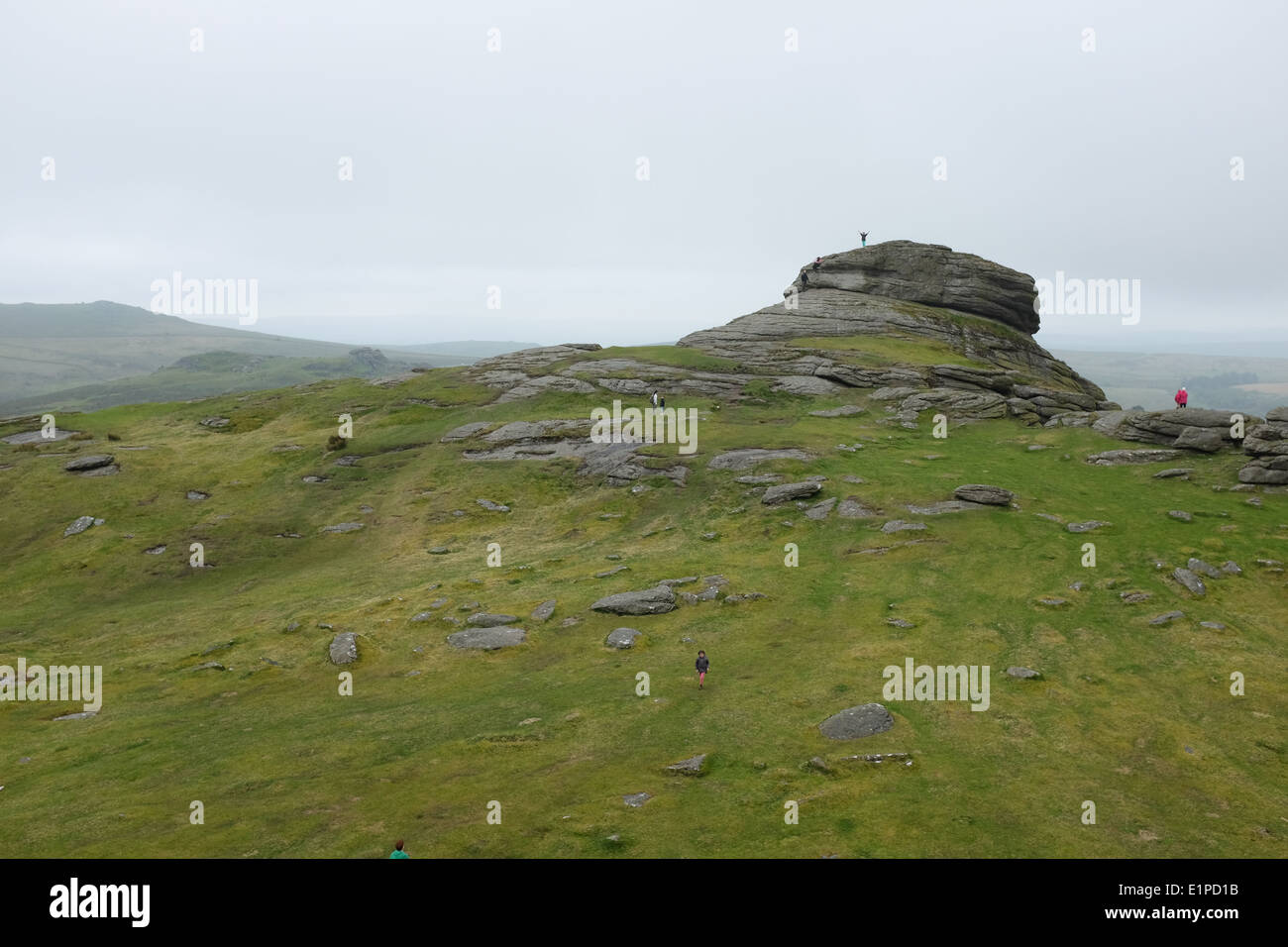 Heu auf englisch -Fotos und -Bildmaterial in hoher Auflösung – Alamy