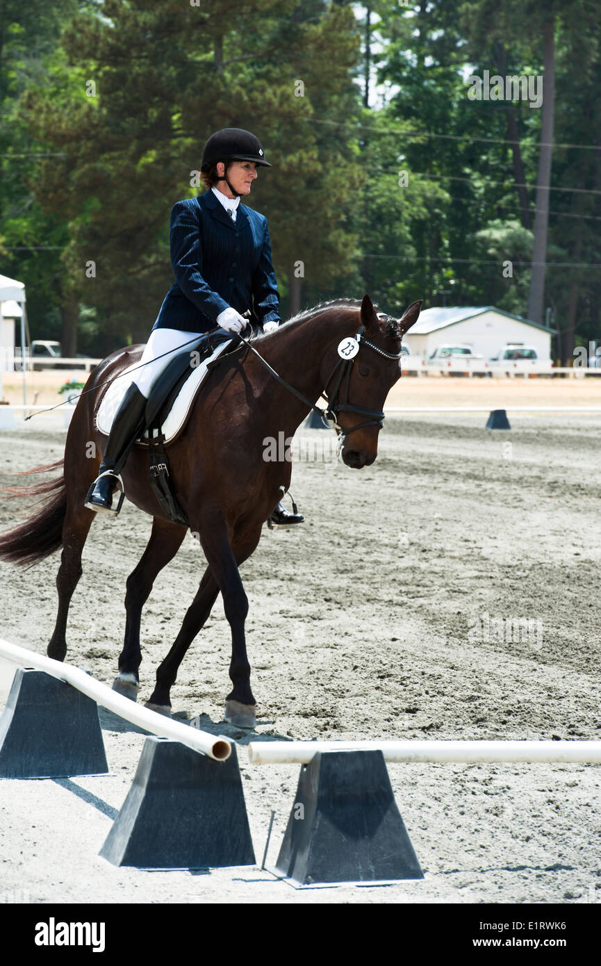 Lees pferd -Fotos und -Bildmaterial in hoher Auflösung – Alamy