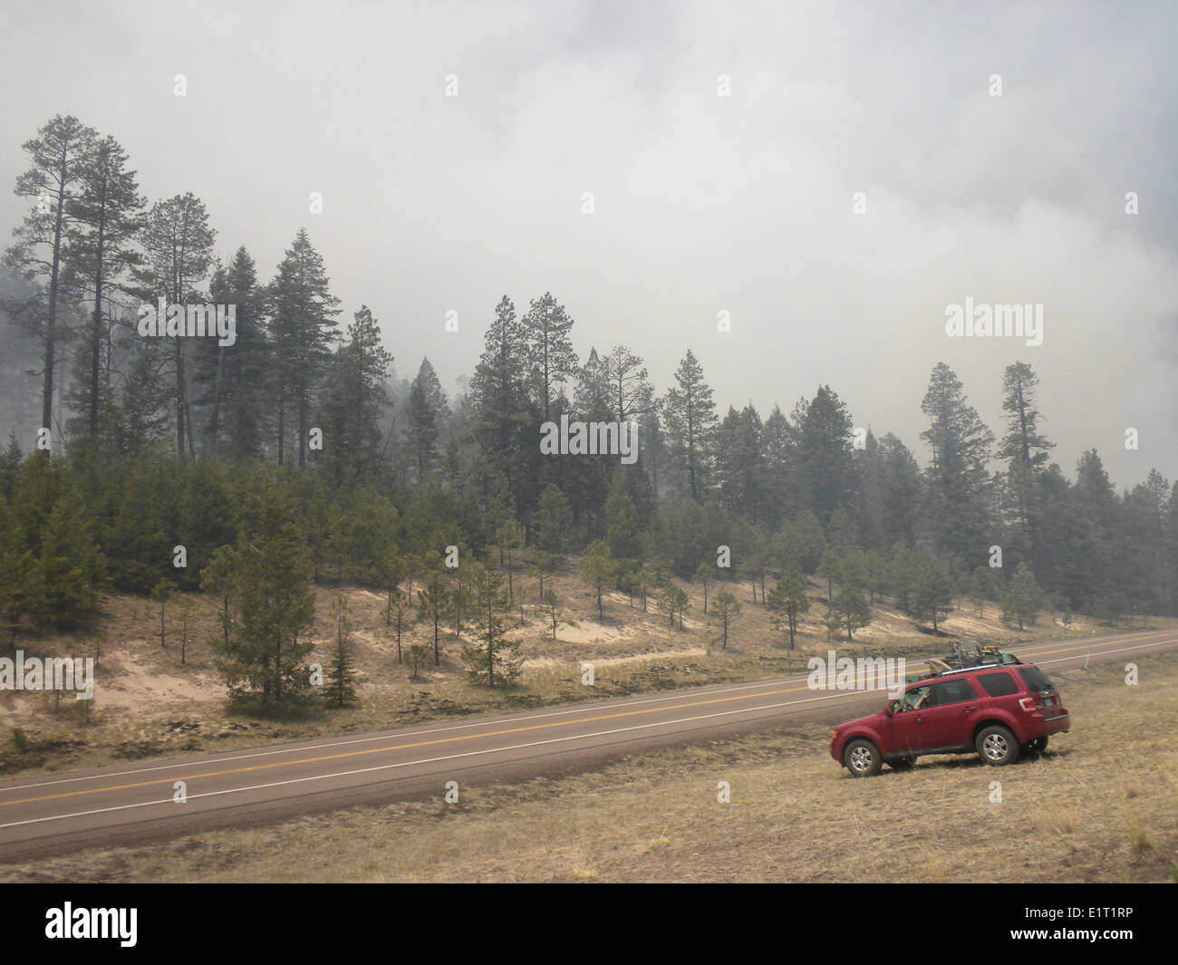 Das Foto des Apache-Sitgreaves National Forest zeigt die weiten ...