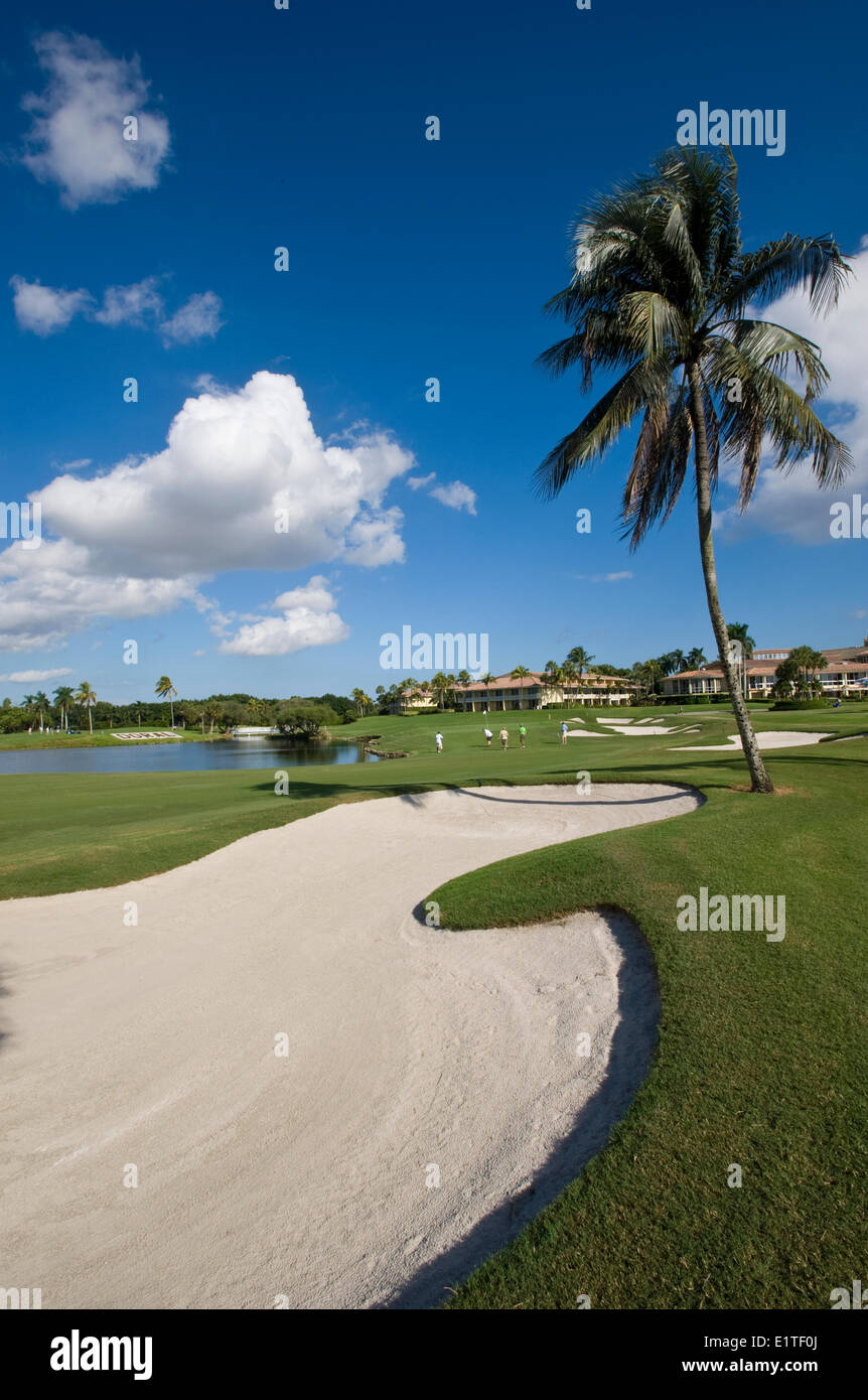 Miami golf -Fotos und -Bildmaterial in hoher Auflösung – Alamy