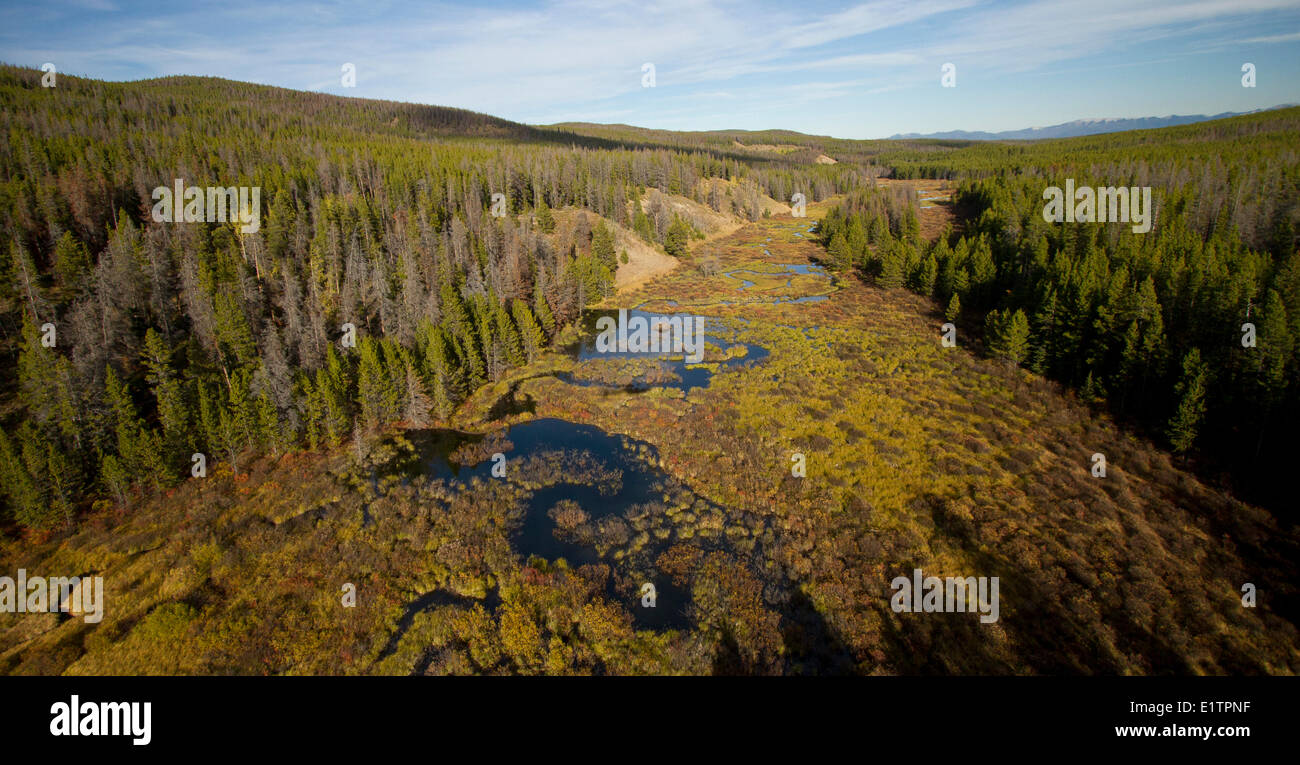 Chilcotin plateau -Fotos und -Bildmaterial in hoher Auflösung – Alamy