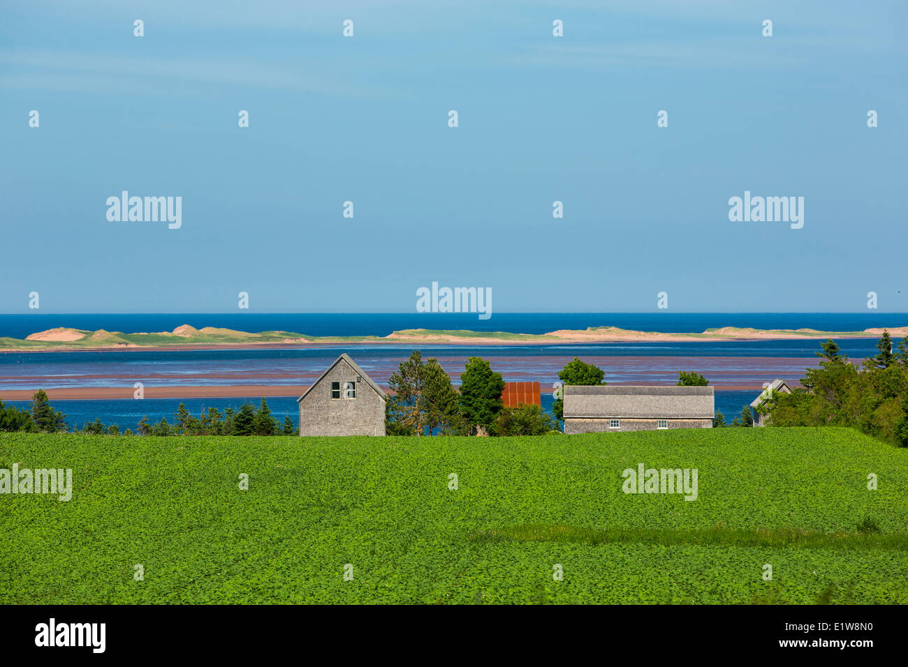 Scheunen, Springbrook, Prince Edward Island, Canada Stockfotografie - Alamy