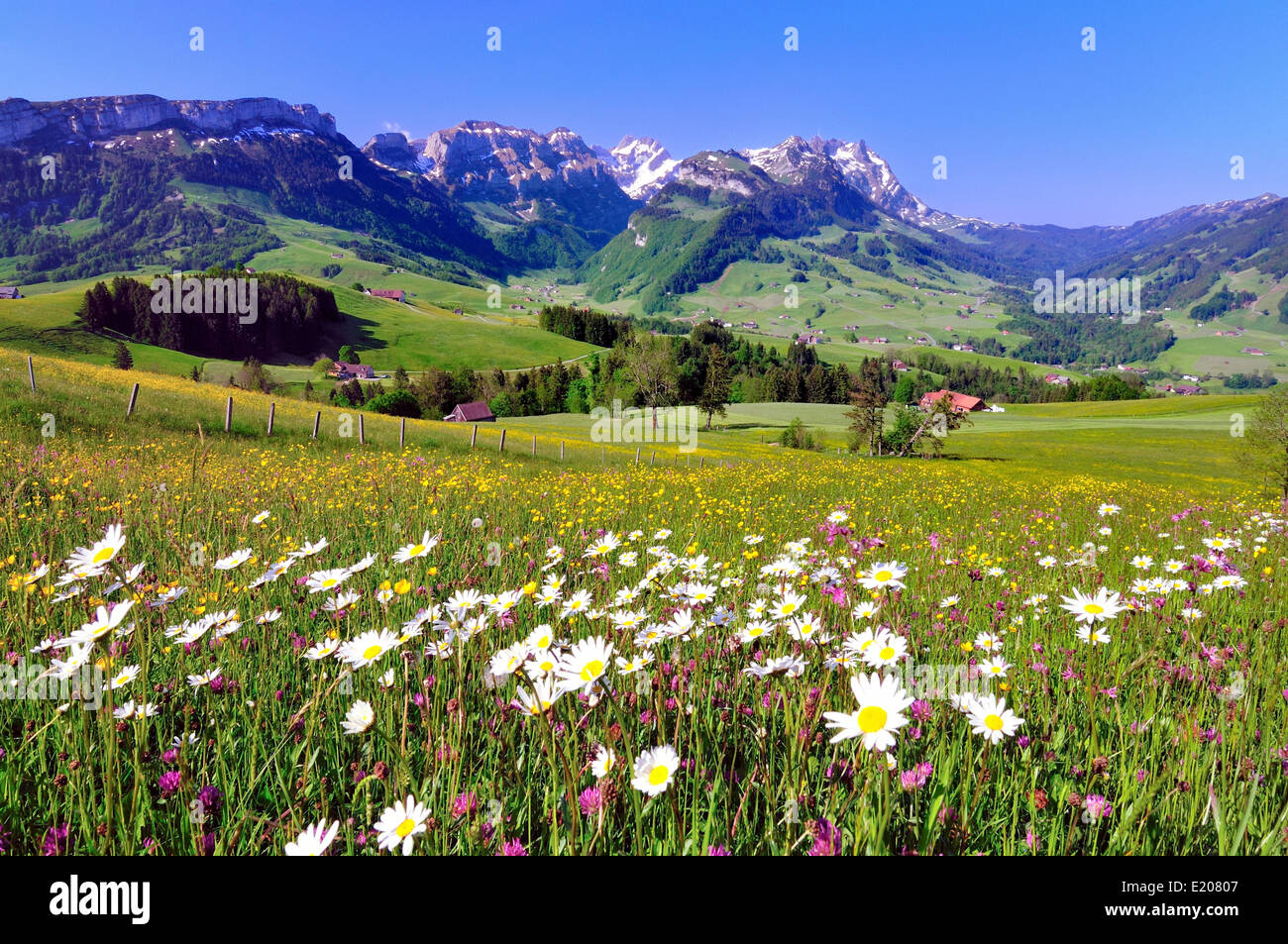 Altmann Switzerland Appenzell Appenzell Innerrhoden Stockfotos und ...