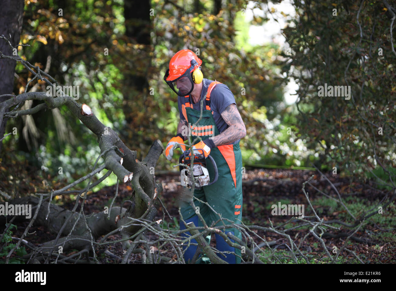 Waldarbeiter axt -Fotos und -Bildmaterial in hoher Auflösung – Alamy