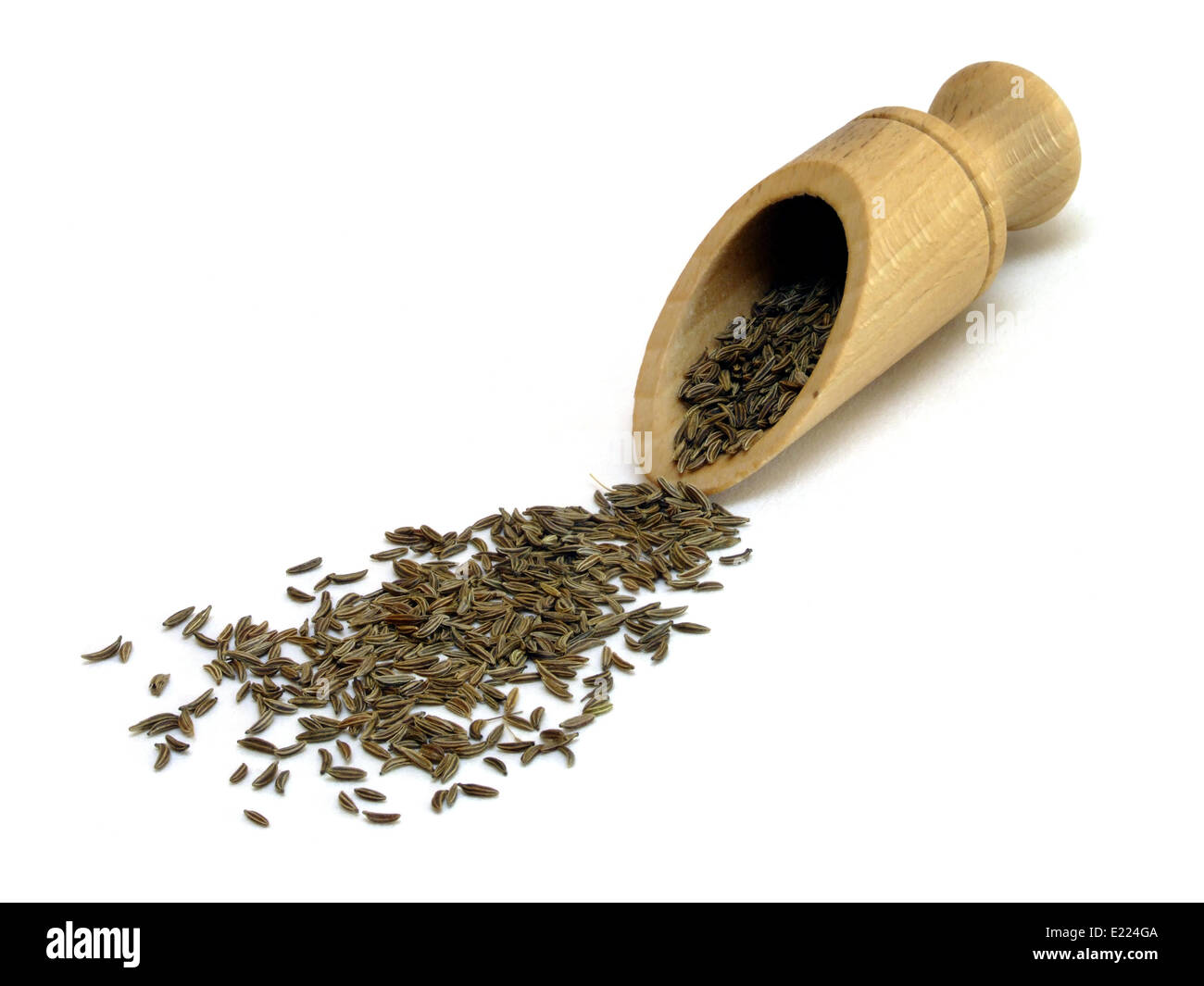 Seeds of plants -Fotos und -Bildmaterial in hoher Auflösung – Alamy