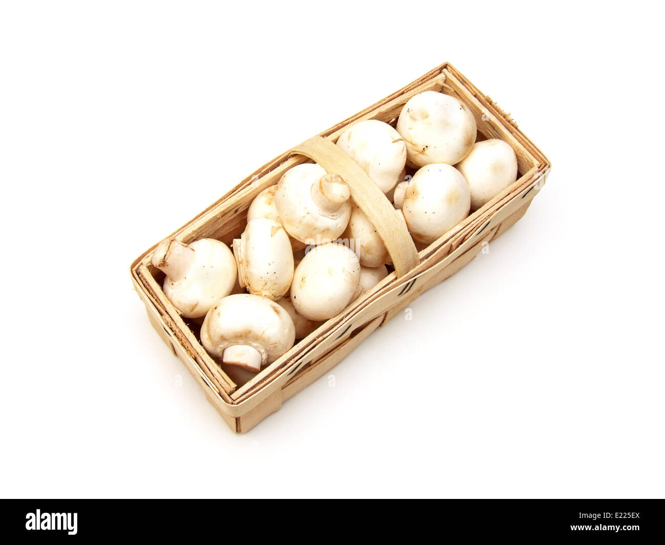 Button mushroom agaricus bisporus -Fotos und -Bildmaterial in hoher ...