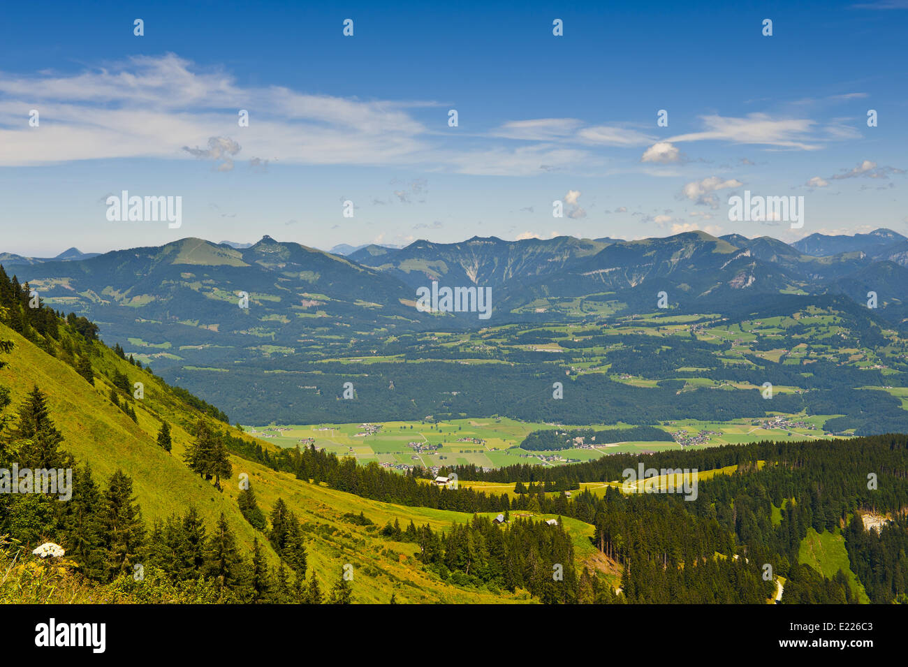Bayerischer wald bauernhaus -Fotos und -Bildmaterial in hoher Auflösung – Alamy