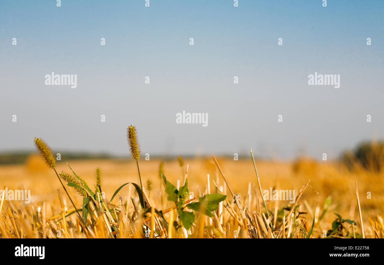 Fertige landschaft -Fotos und -Bildmaterial in hoher Auflösung – Alamy