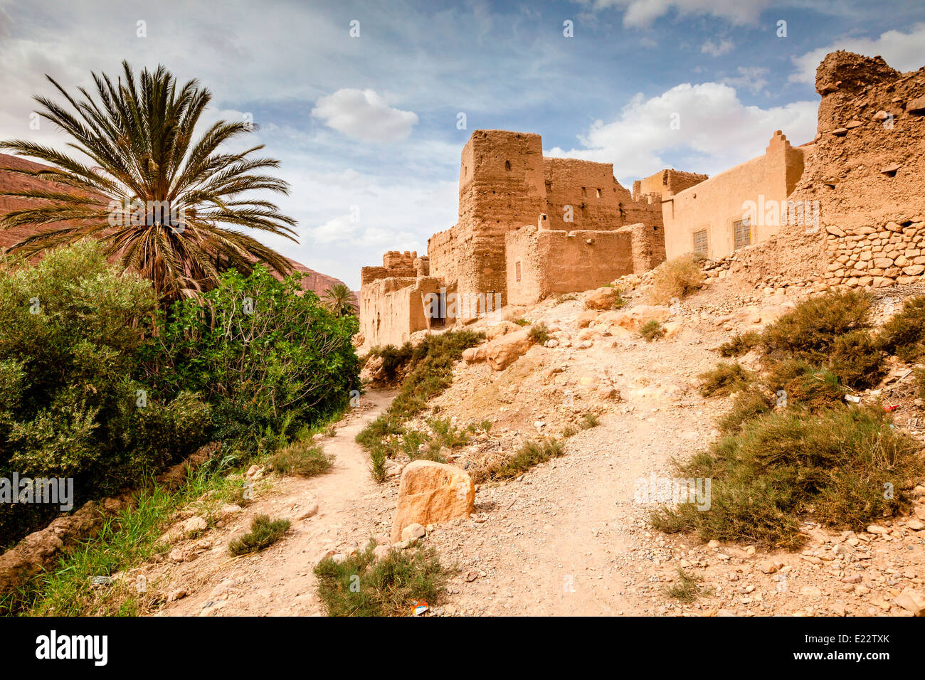 Er rachidia -Fotos und -Bildmaterial in hoher Auflösung – Alamy