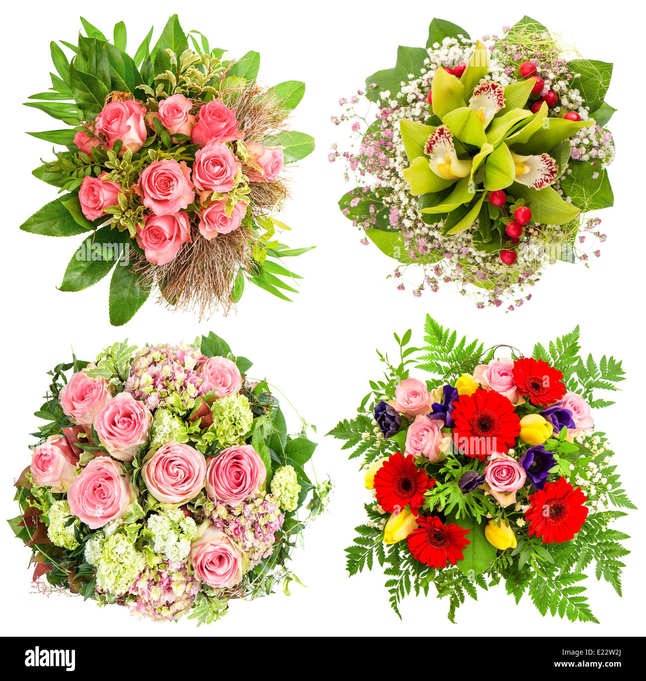 Bouquet von frischen rosa Rosen, Orchideen Blumen, rote Gerber isoliert ...