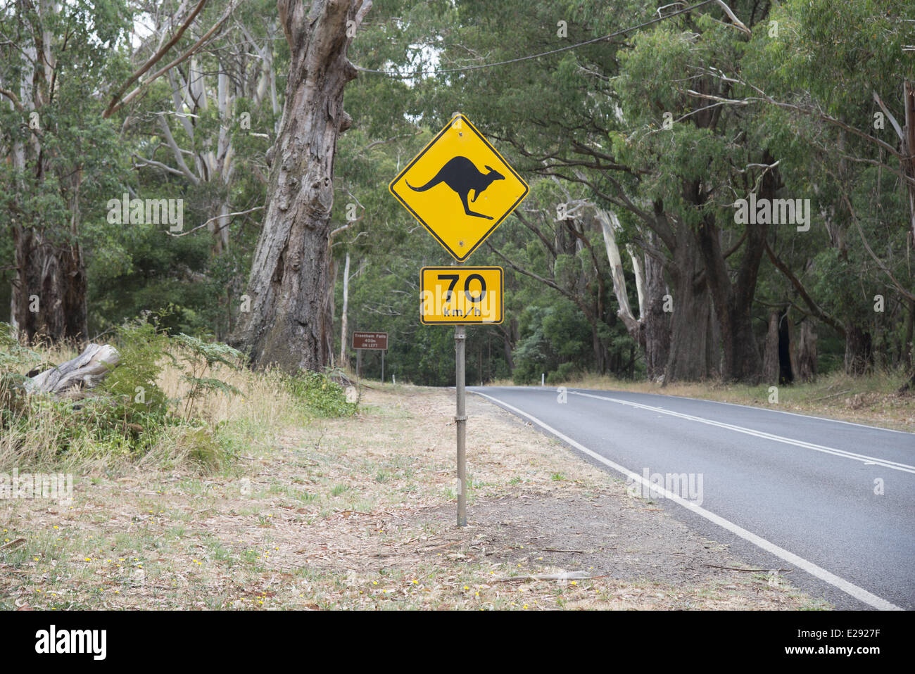 Kangaroo wombat road sign -Fotos und -Bildmaterial in hoher Auflösung ...
