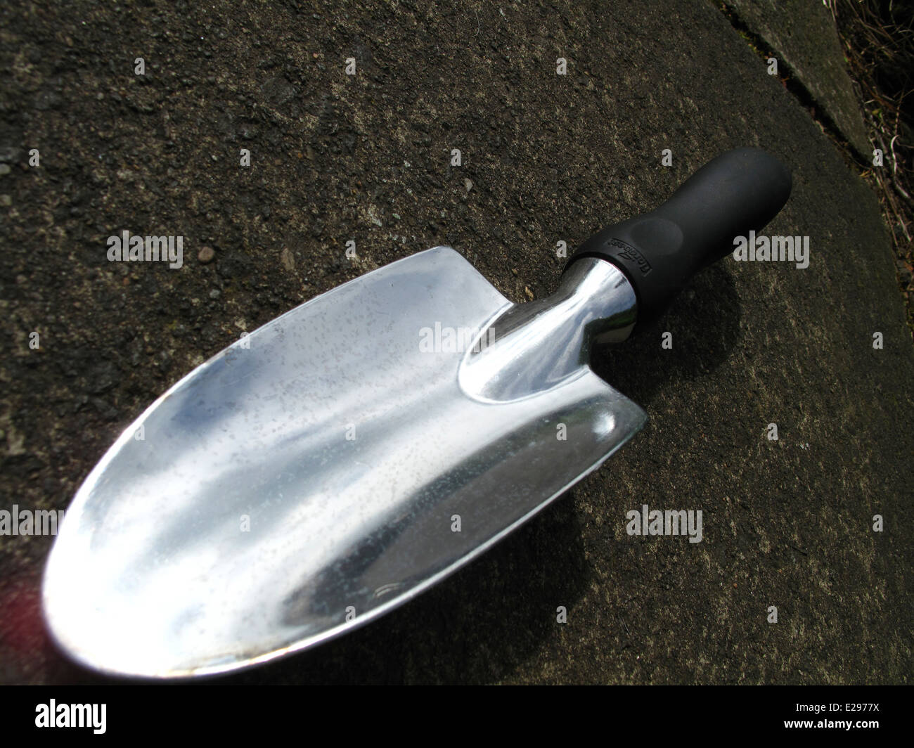 Concrete slab garden -Fotos und -Bildmaterial in hoher Auflösung – Alamy