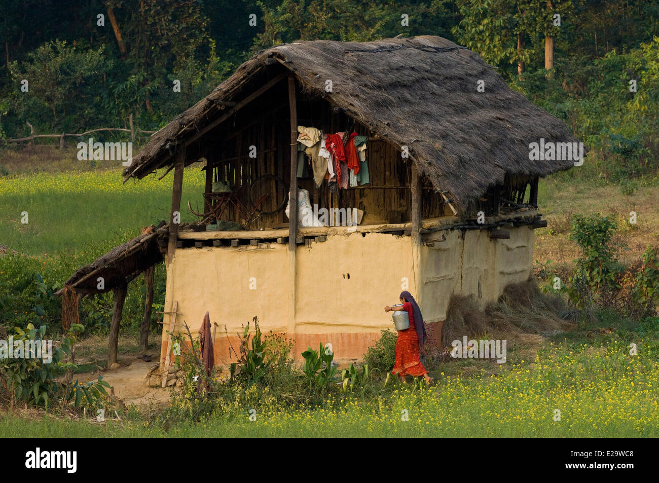 Nepal, Terai Region, Chisapani, traditionelles Haus Stockfotografie - Alamy