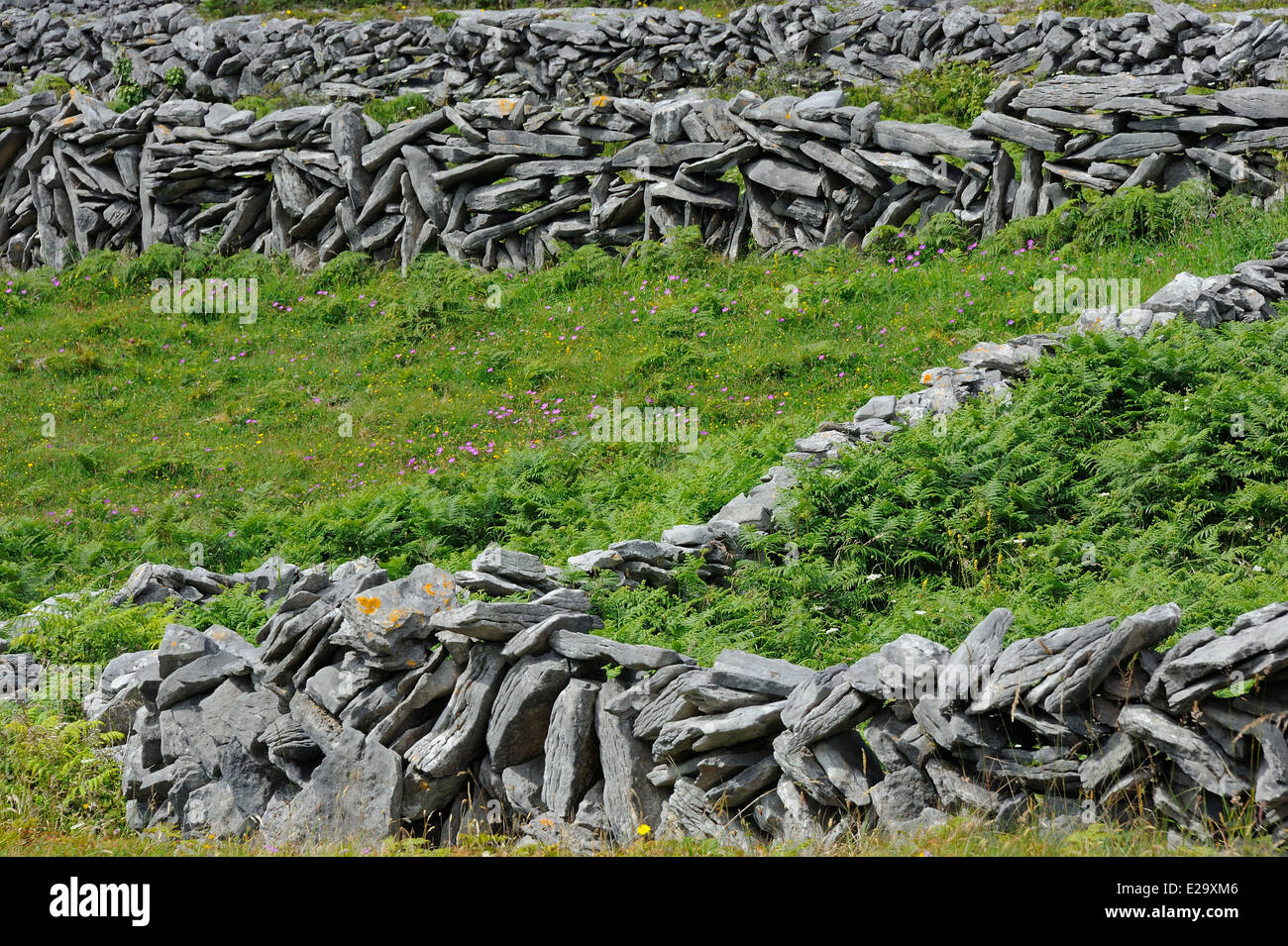County Galway, Irland-Aran-Inseln, Inishmore Stockfotografie - Alamy