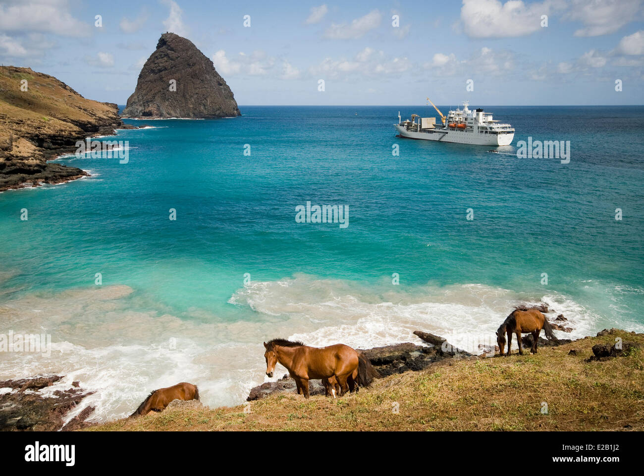 Hane bay -Fotos und -Bildmaterial in hoher Auflösung – Alamy