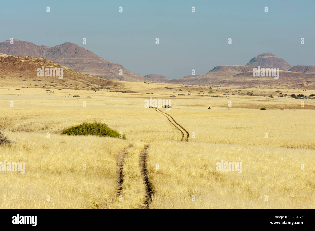 Palmwag konzession -Fotos und -Bildmaterial in hoher Auflösung – Alamy