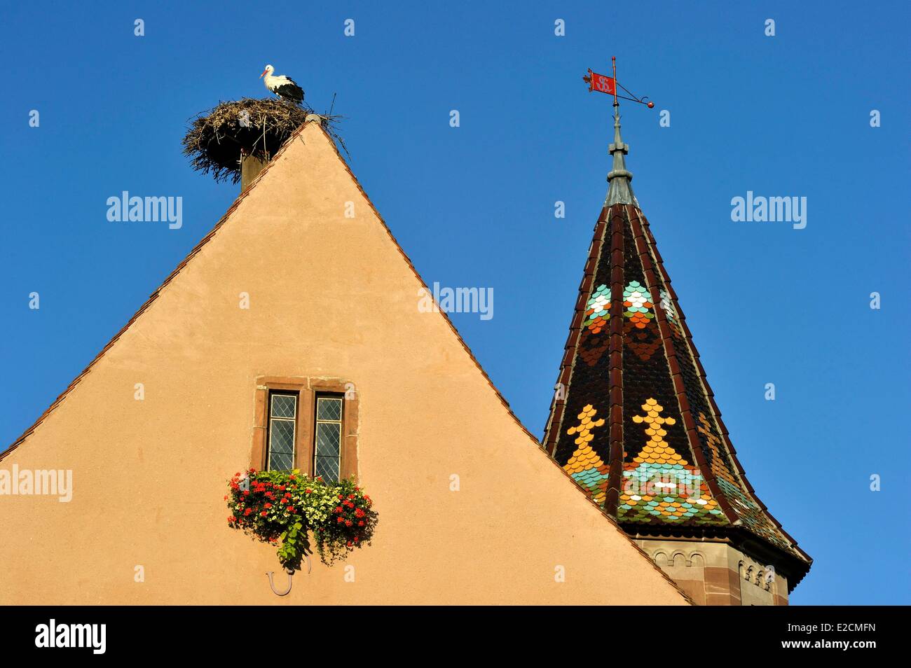 Frankreich, Haut Rhin, Elsässer Weinstraße, Eguisheim, beschriftete Les ...