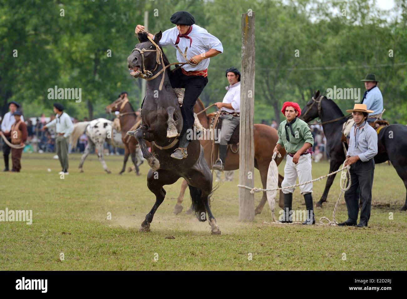 Gaucho tradition rodeo horse -Fotos und -Bildmaterial in hoher ...