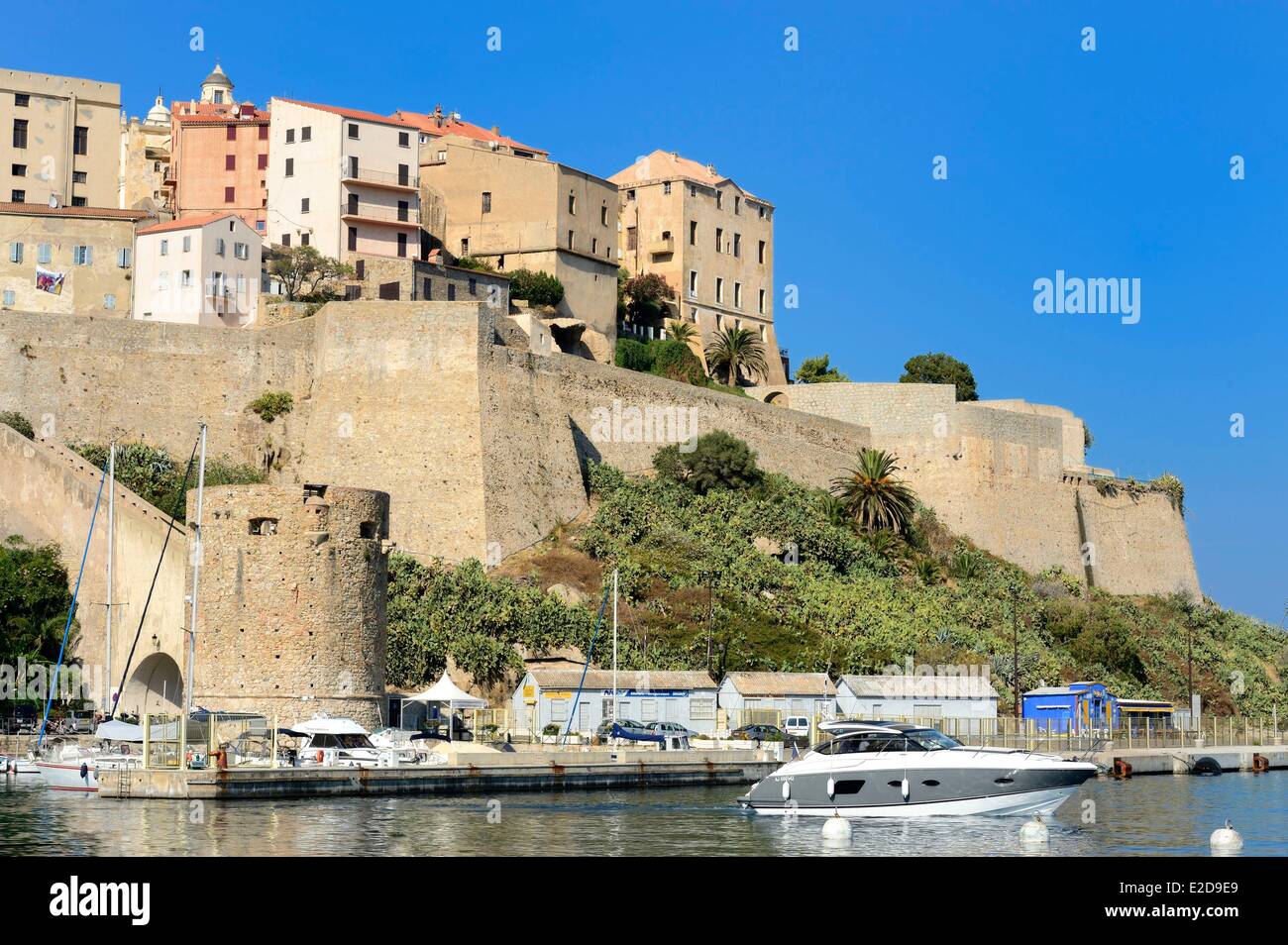 Calvi fort -Fotos und -Bildmaterial in hoher Auflösung – Alamy