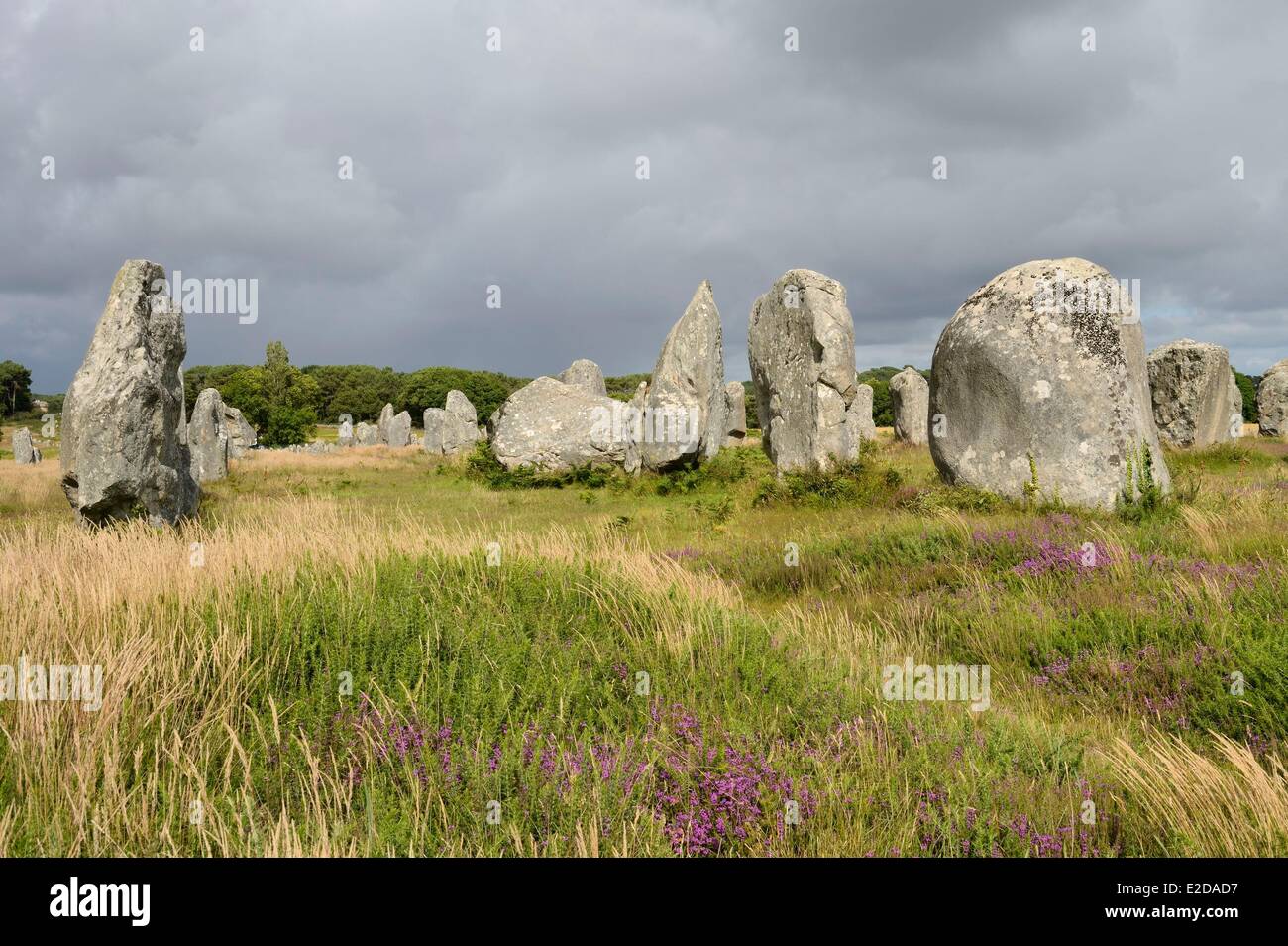 Vorgeschichte megalithisch -Fotos und -Bildmaterial in hoher Auflösung ...