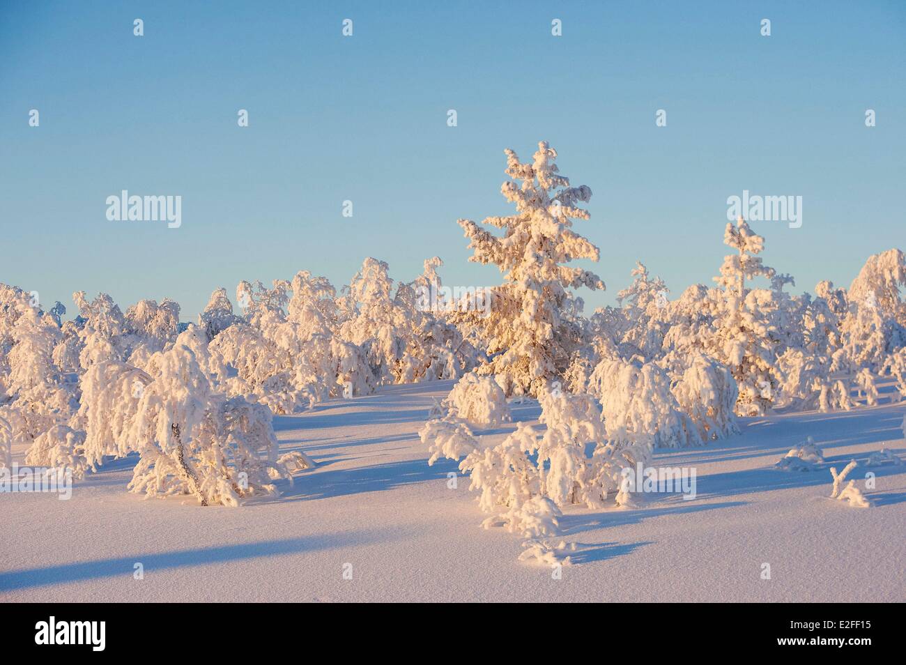 Norwegen, Finnmark County, Varanger-Halbinsel, Berlevag, Winter ...