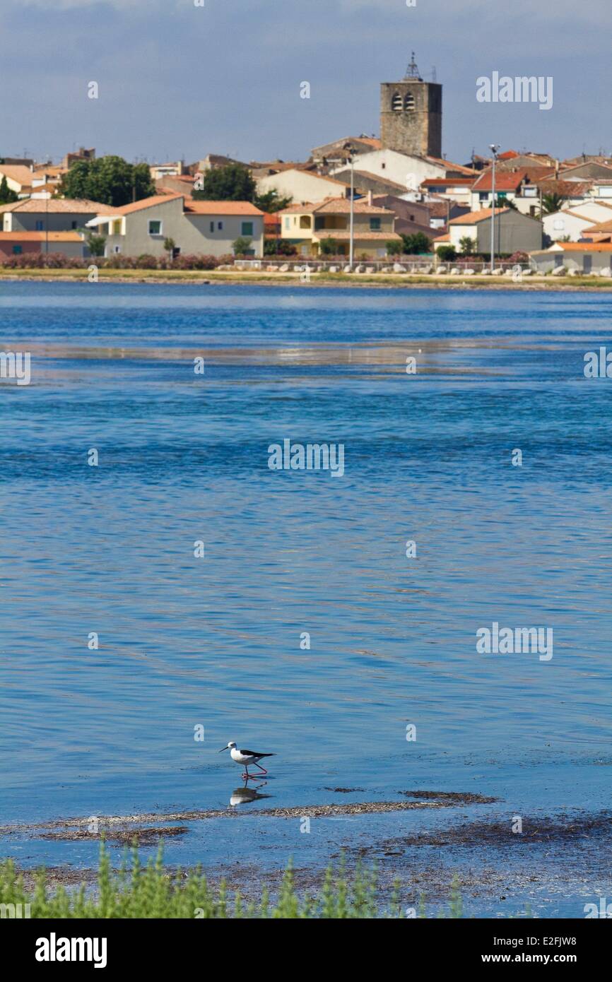 Meze france -Fotos und -Bildmaterial in hoher Auflösung - Seite 2 - Alamy
