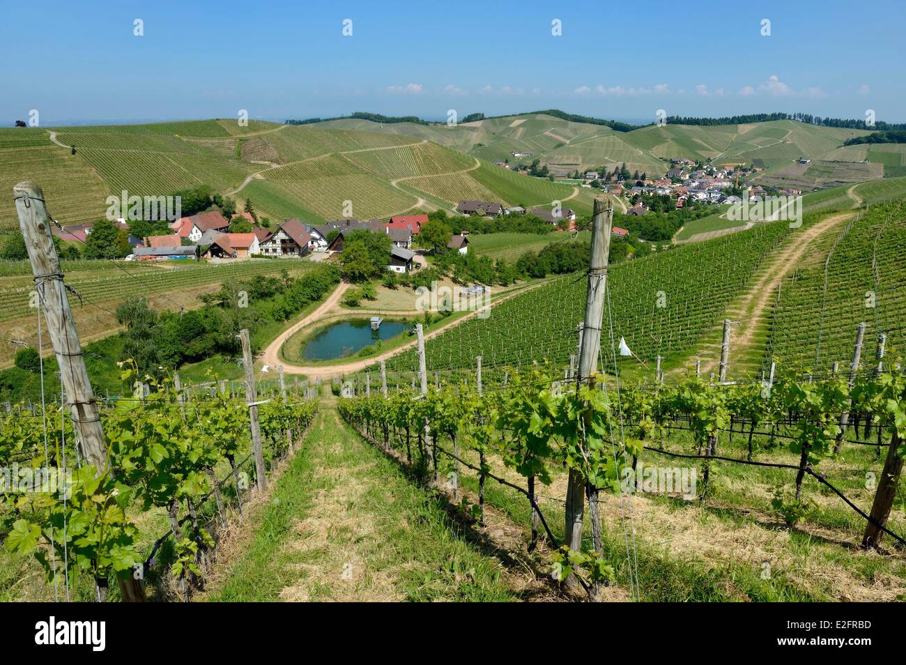 Durbach baden wurttemberg germany black -Fotos und -Bildmaterial in hoher Auflösung – Alamy