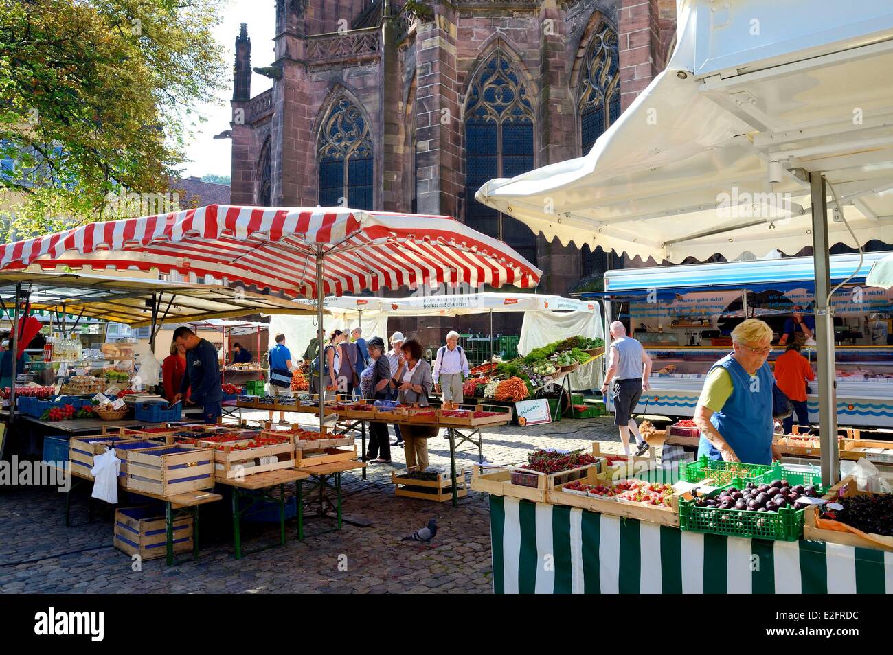 Munsterplatz markt -Fotos und -Bildmaterial in hoher Auflösung – Alamy