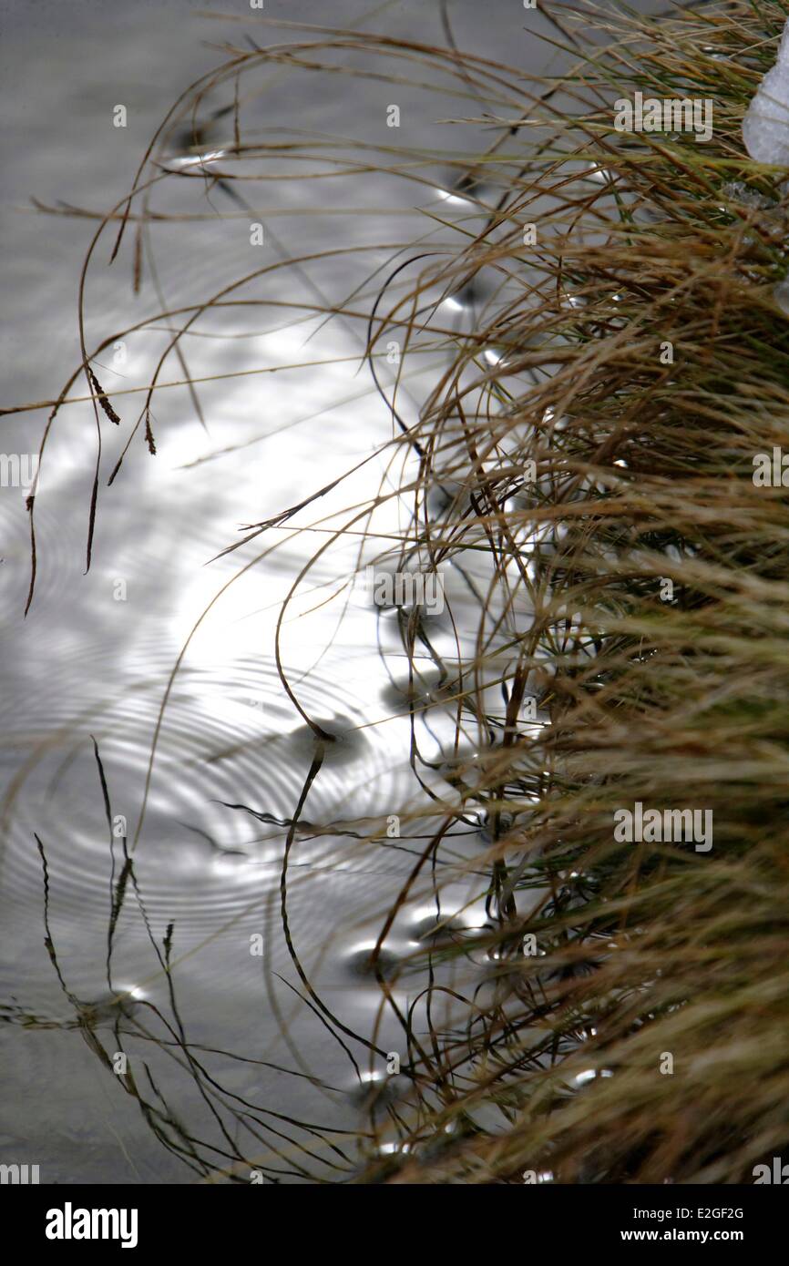 Frankreich Alpes Maritimes Mercantour Nationalpark Roya Essen Valle des ...