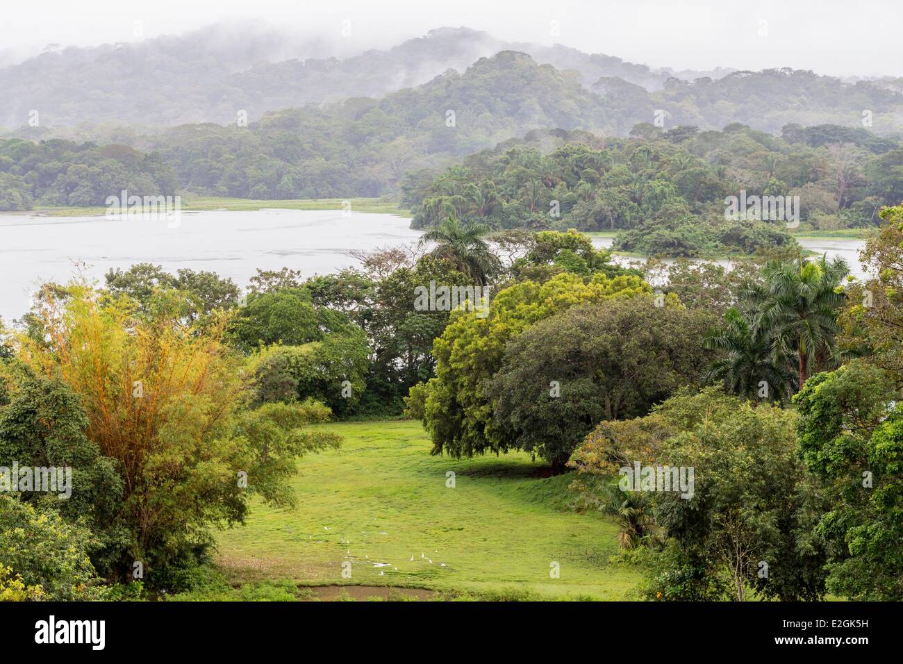 Gamboa Regenwald Resort Fotos Und Bildmaterial In Hoher Auflösung Alamy