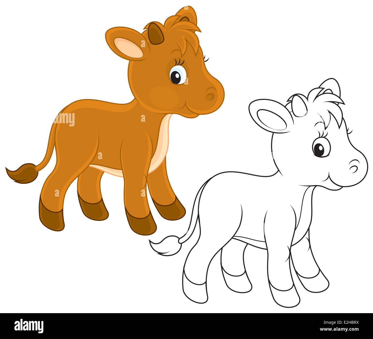 Kleines kalb -Fotos und -Bildmaterial in hoher Auflösung – Alamy