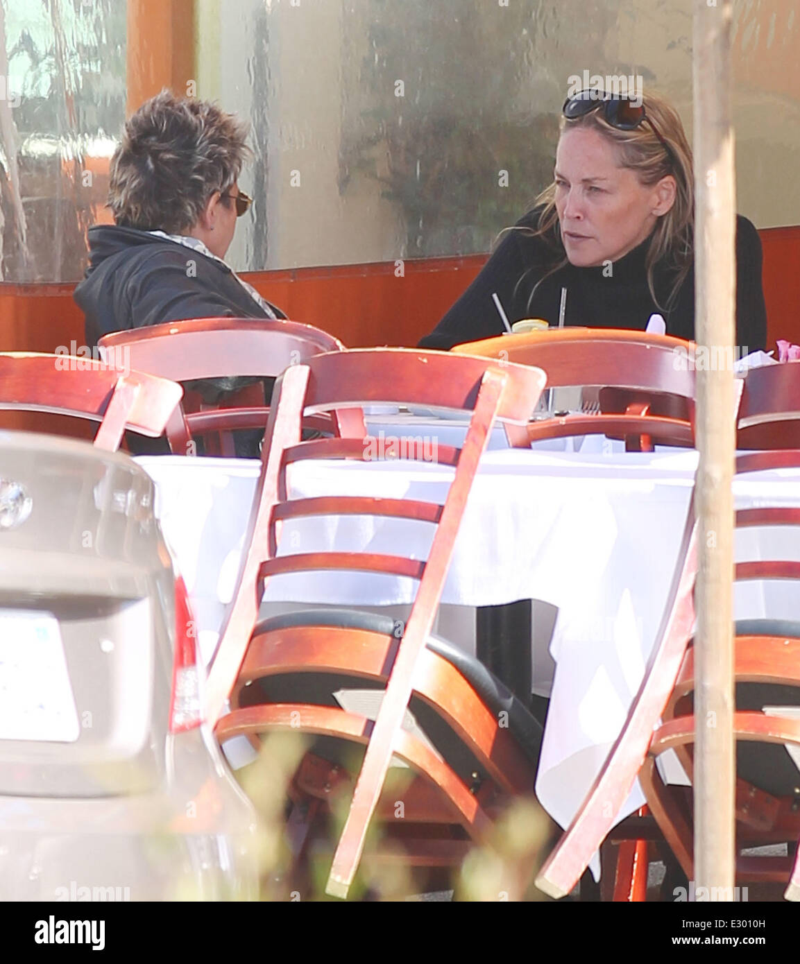 Sharon Stone geht zum Mittagessen mit einem Freund und ihrem Hund am ...